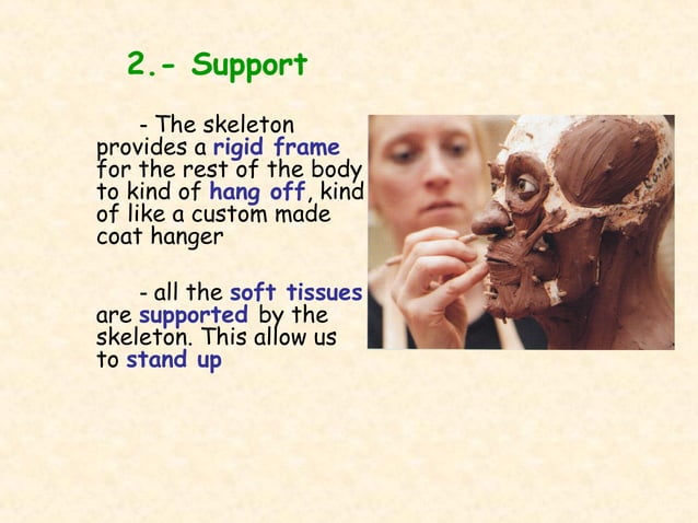 Skeleton, Joints And Bones | PPT | Death, Injury, or Military Conflict ...