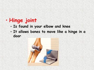 Skeleton, Joints And Bones | PPT