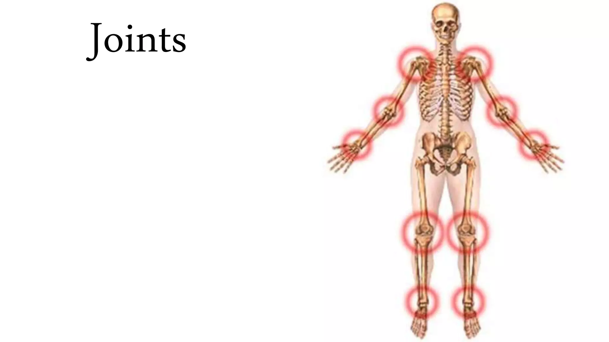 Skeleton and joints 2018 2019 | PPTX