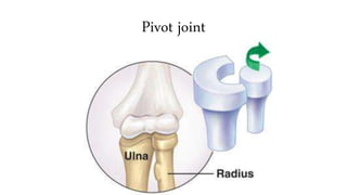 Skeleton and joints 2018 2019 | PPTX | Death, Injury, or Military ...