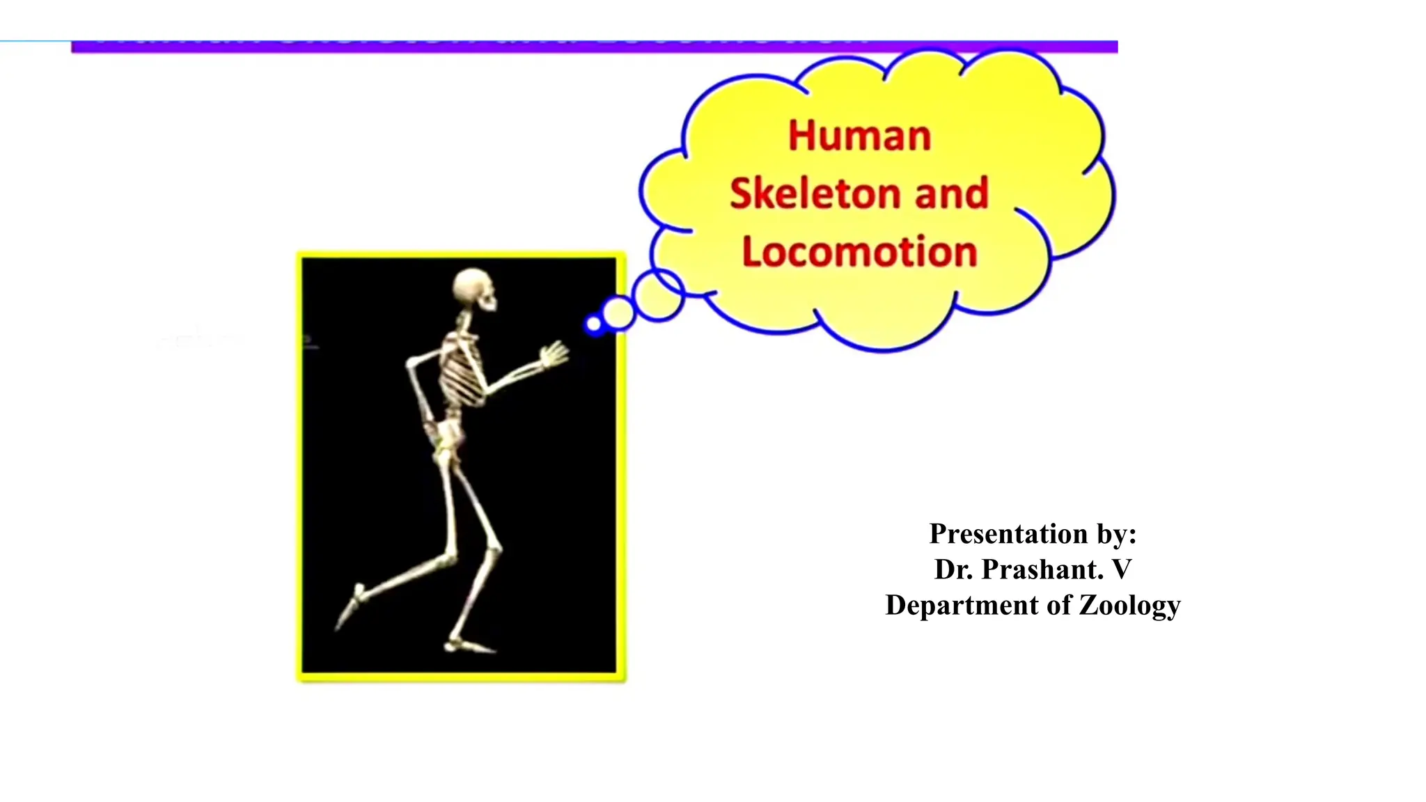 Skeleton and movement complete for all classespptx | PPT