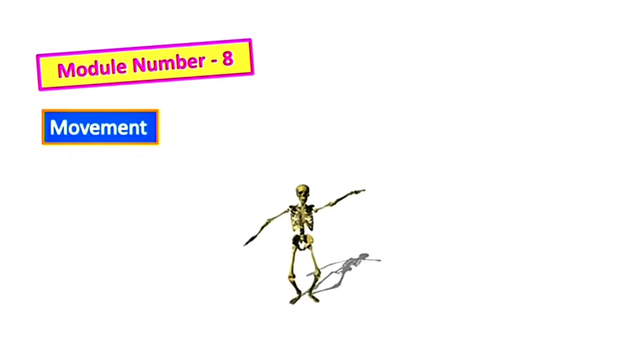 Skeleton and movement complete for all classespptx | PPT