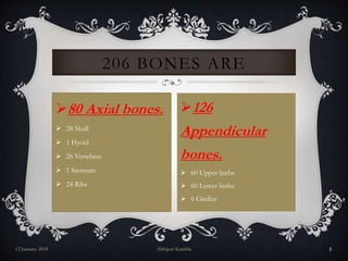 HUMAN ANATOMY SKELETON | PPTX
