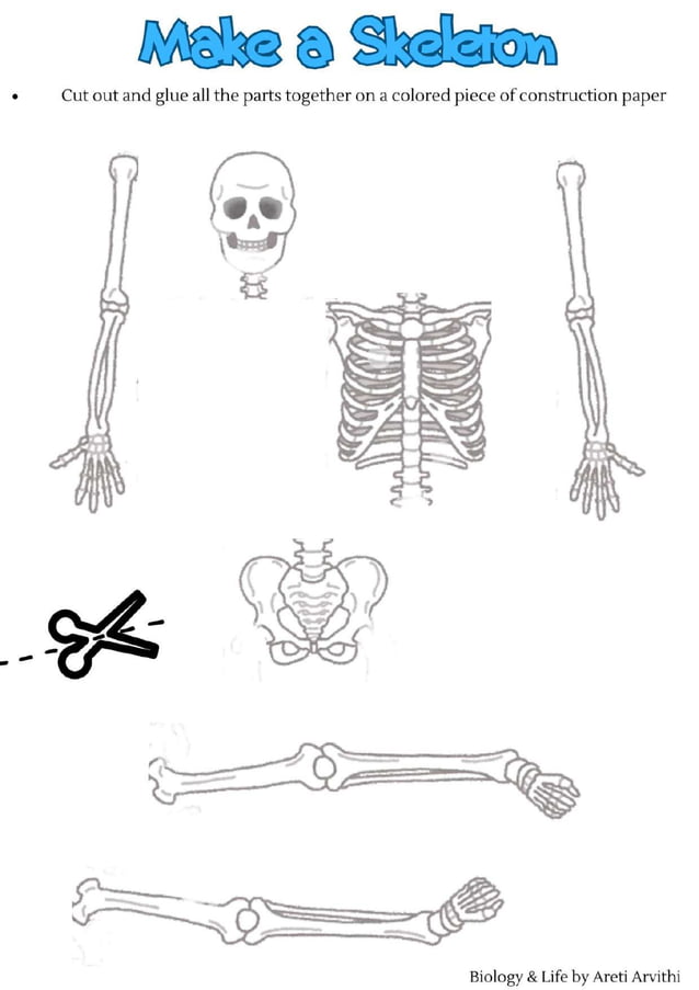 Skeleton Craft Printable. Label the parts of the skeleton.pdf