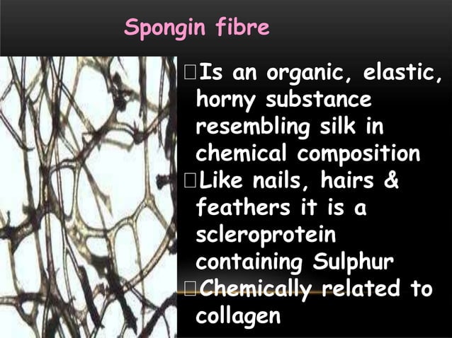 Skeleton in sponges by Shazia Naaz M.Sc. I year.pptx