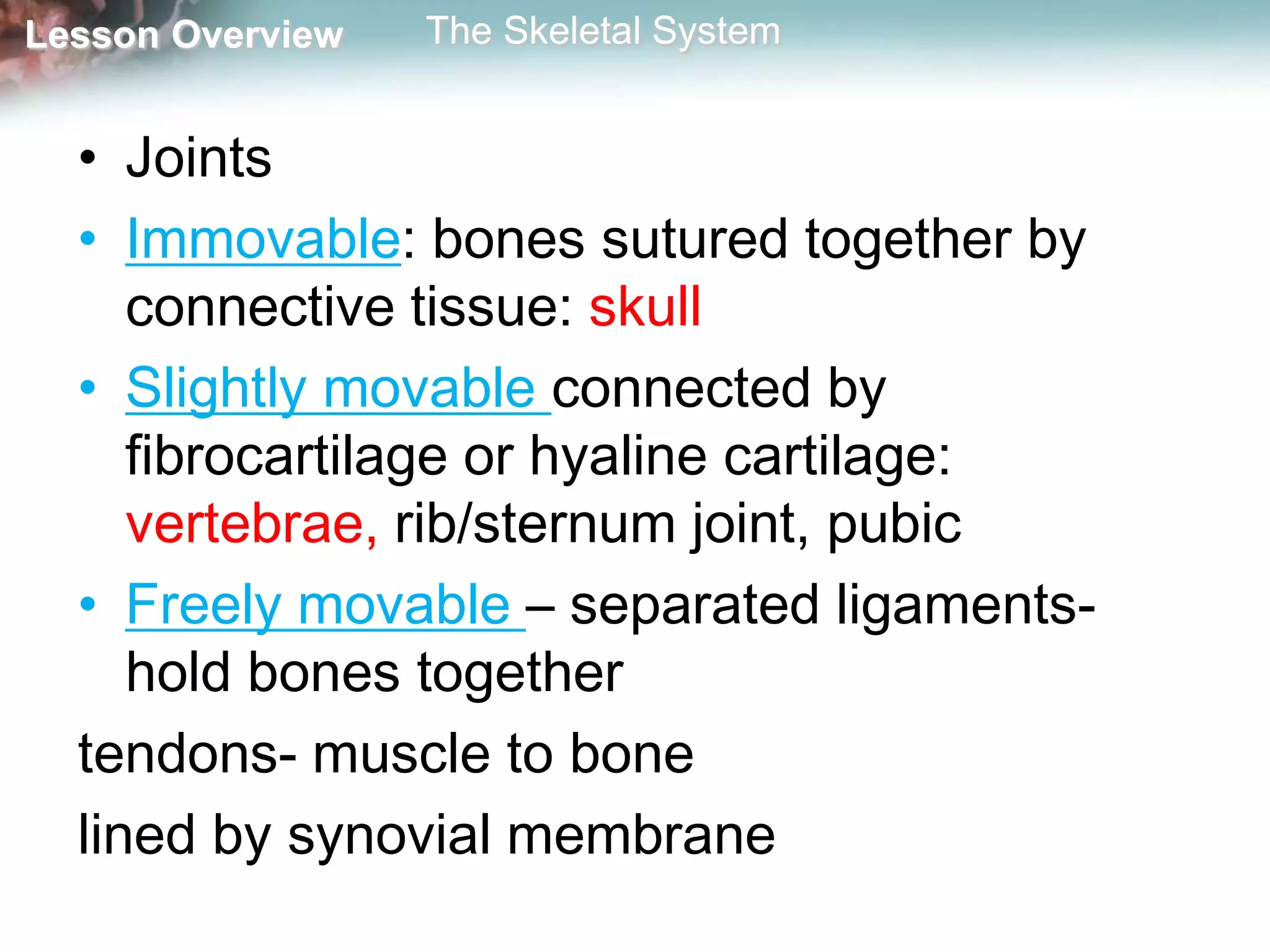 Skeleton, muscles and movement mine | PPTX | Death, Injury, or Military ...