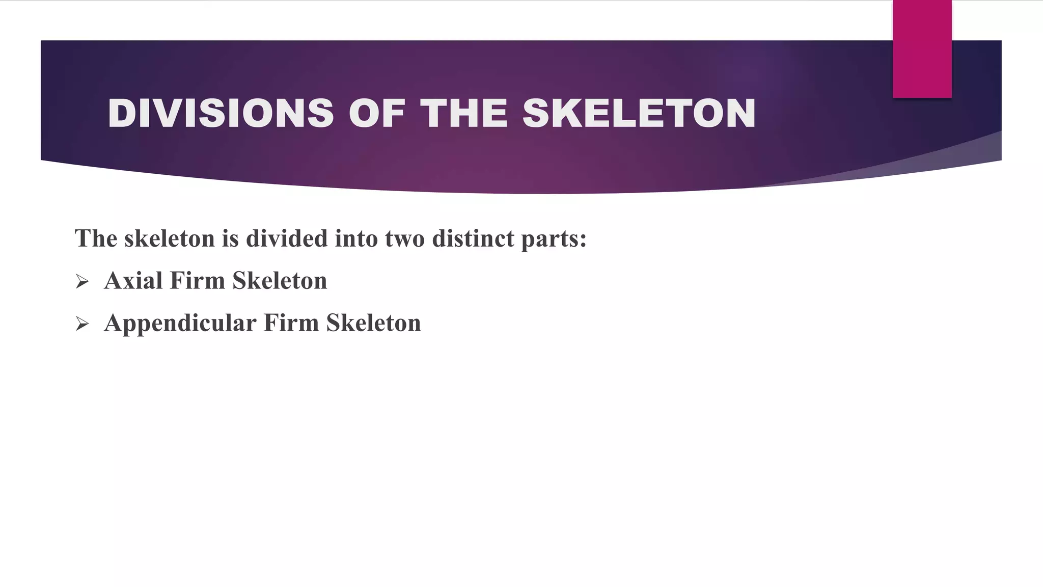 Skeleton of fishes | PPTX