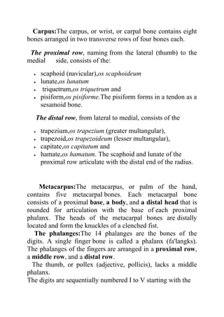 Skeleton of the upper limb | DOCX | Death, Injury, or Military Conflict ...