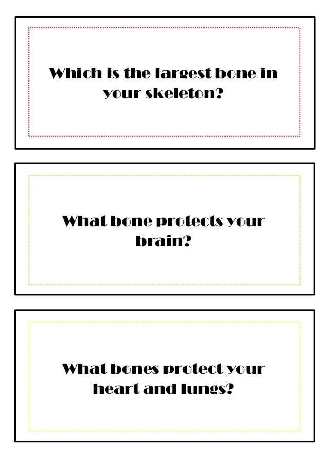 Skeleton Questions Skeleton Questions