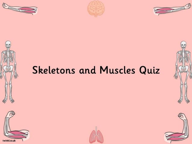 Skeletons-and-Muscles.pptx