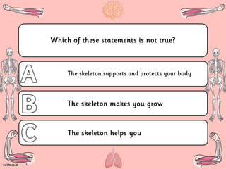Skeletons-and-Muscles.pptx