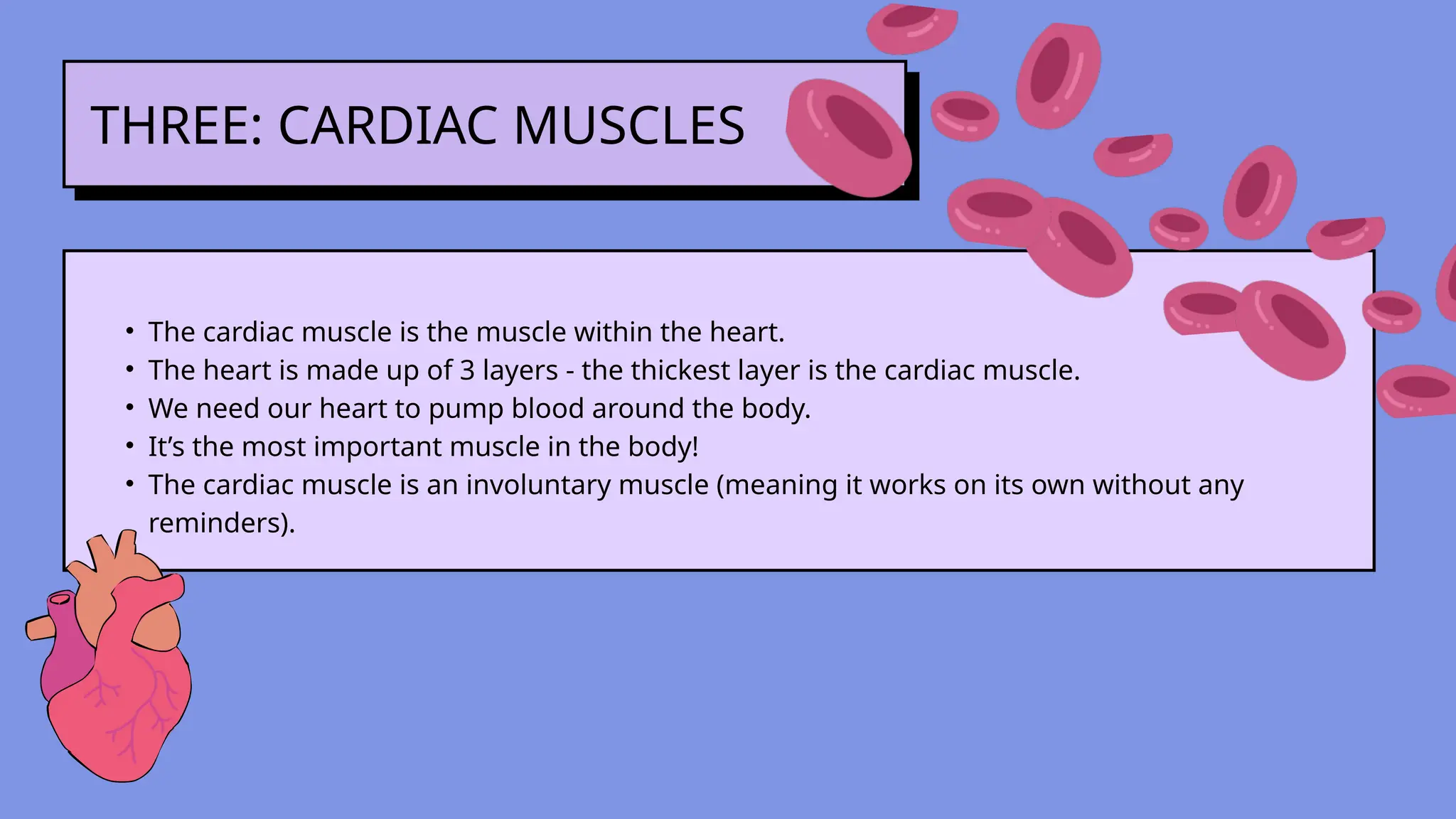 Skeletons and Muscles Educational Presentation in a Blue Purple Lined ...