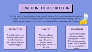 Skeletons and Muscles Educational Presentation in a Blue Purple Lined ...