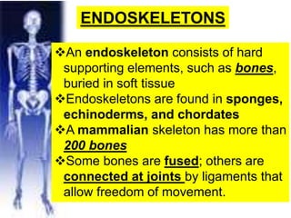 Skeletons grade 10 | PPTX