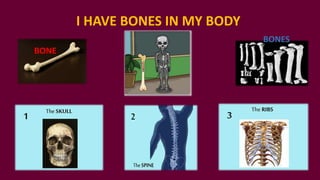 Skeleton powerpoint | PPTX