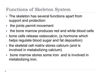 Skeleton system | PPTX