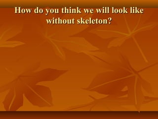 Skeleton system | PPT