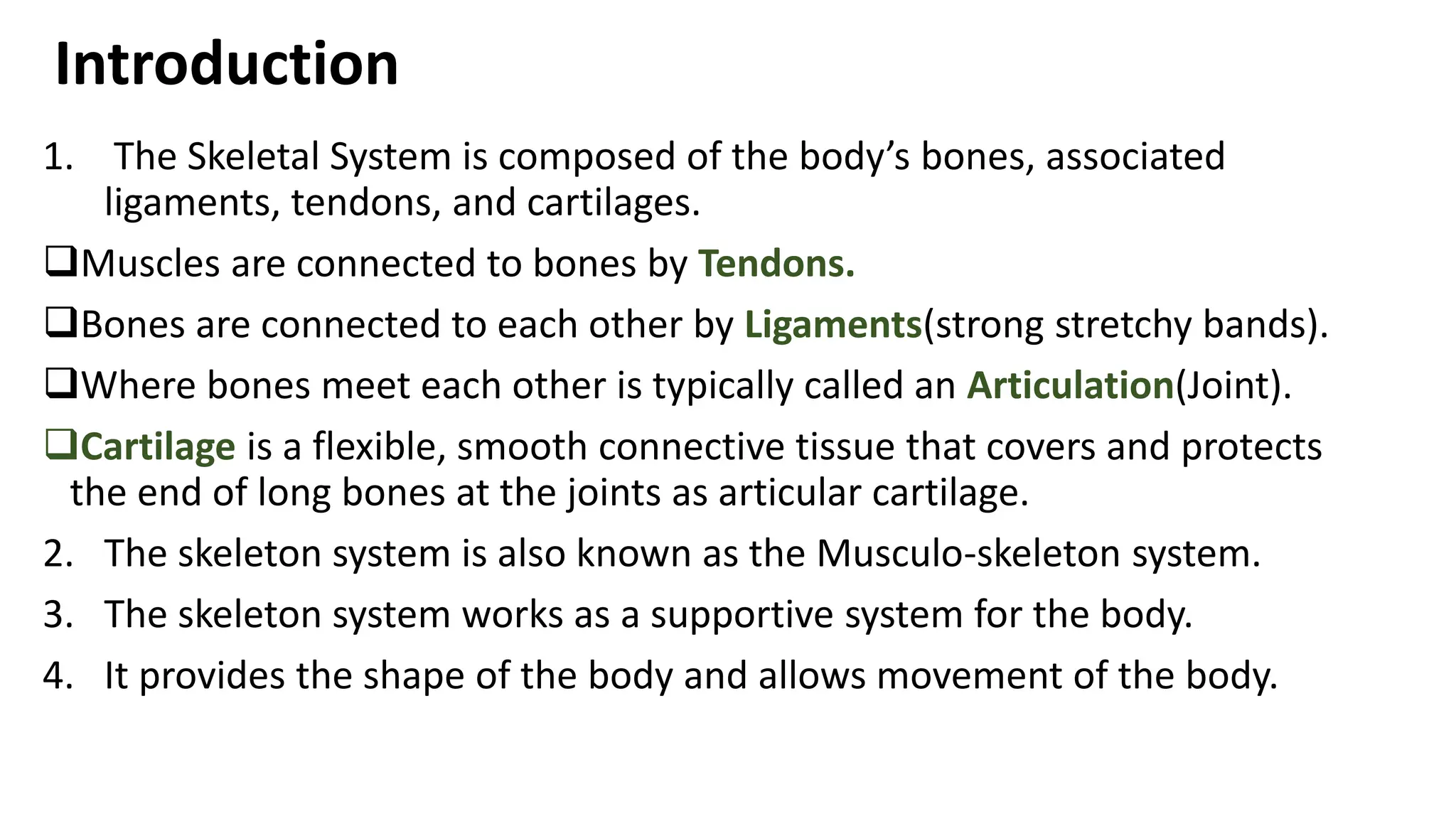 Skeleton system.pptx