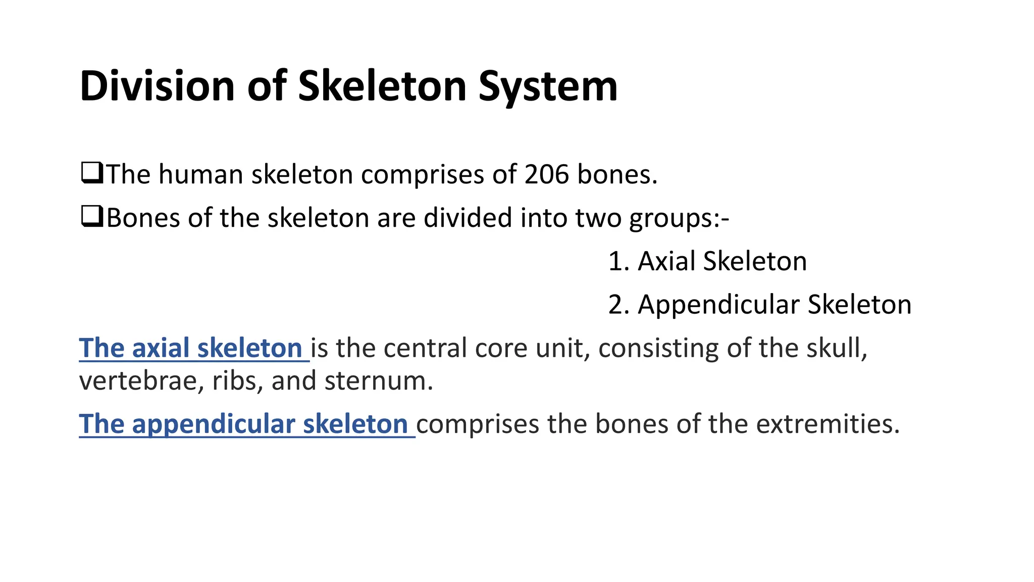 Skeleton system.pptx