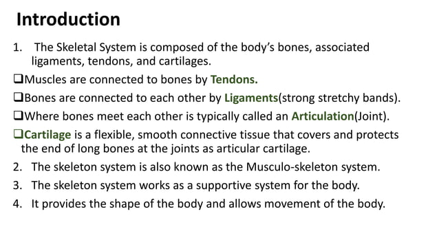 Skeleton system.pptx