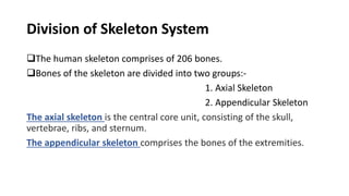 Skeleton system.pptx
