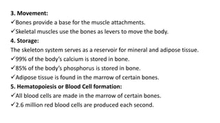 Skeleton system.pptx