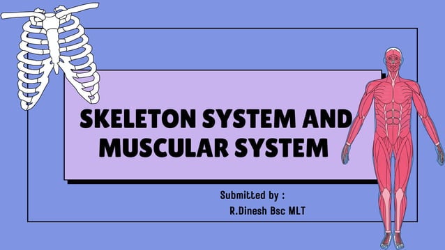 Skeleton system and muscular system of human | PDF