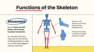 Skeleton system and muscular system of human | PDF