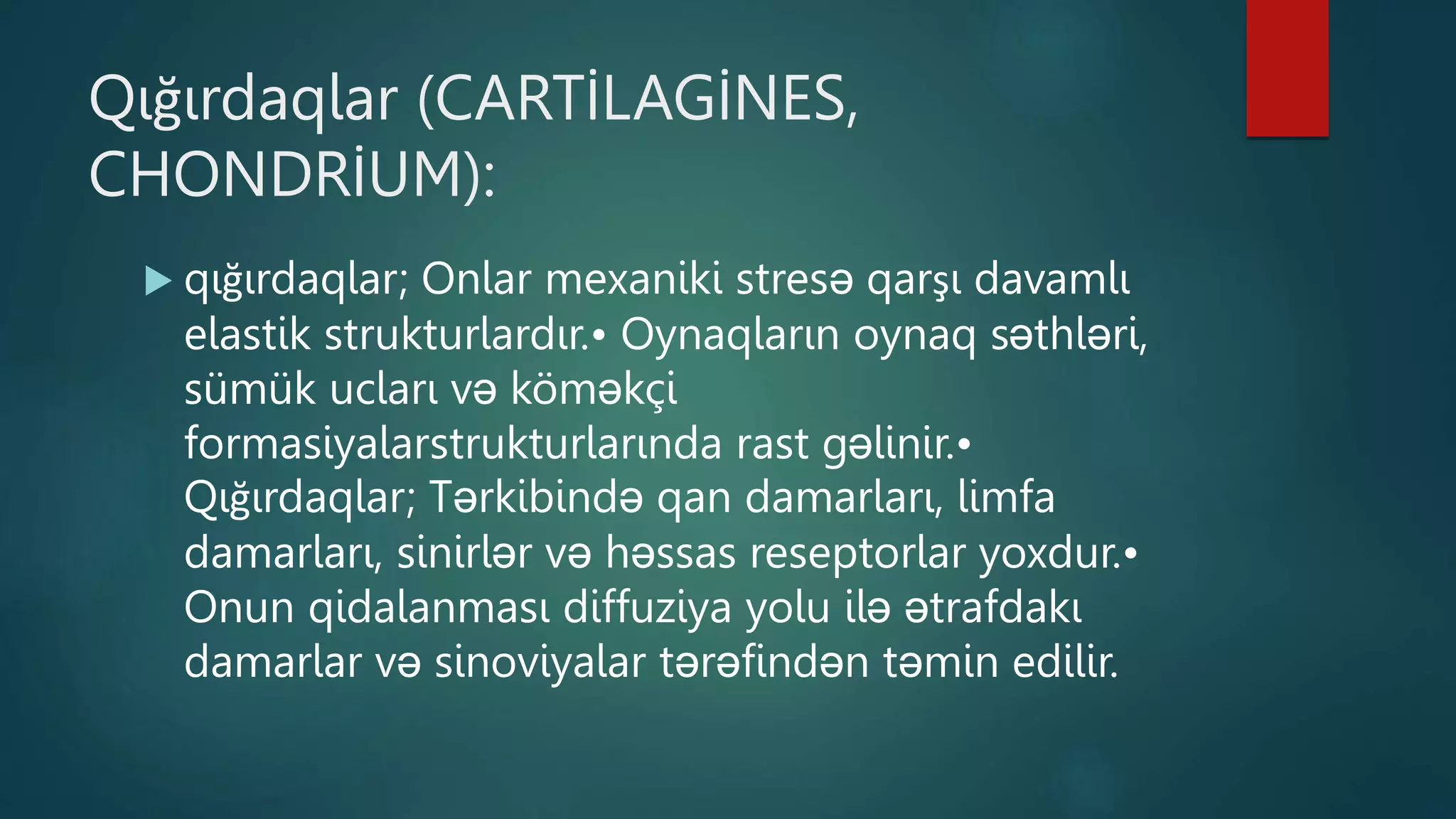 SKELET SİSTEMİNİN KİNEZİOLOGİYASİ.pptx