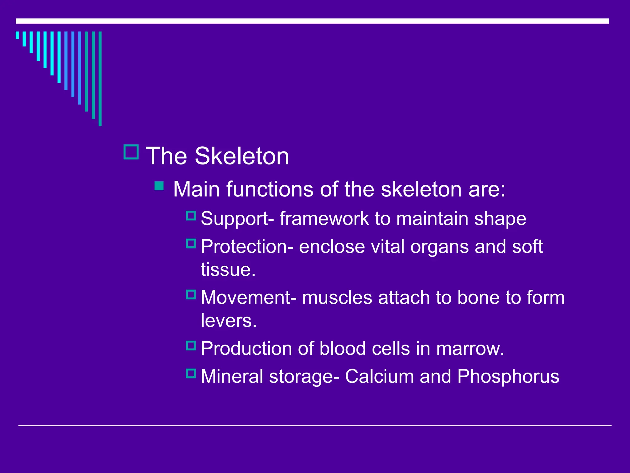 Skeletal system and muscular system of human body | PPT