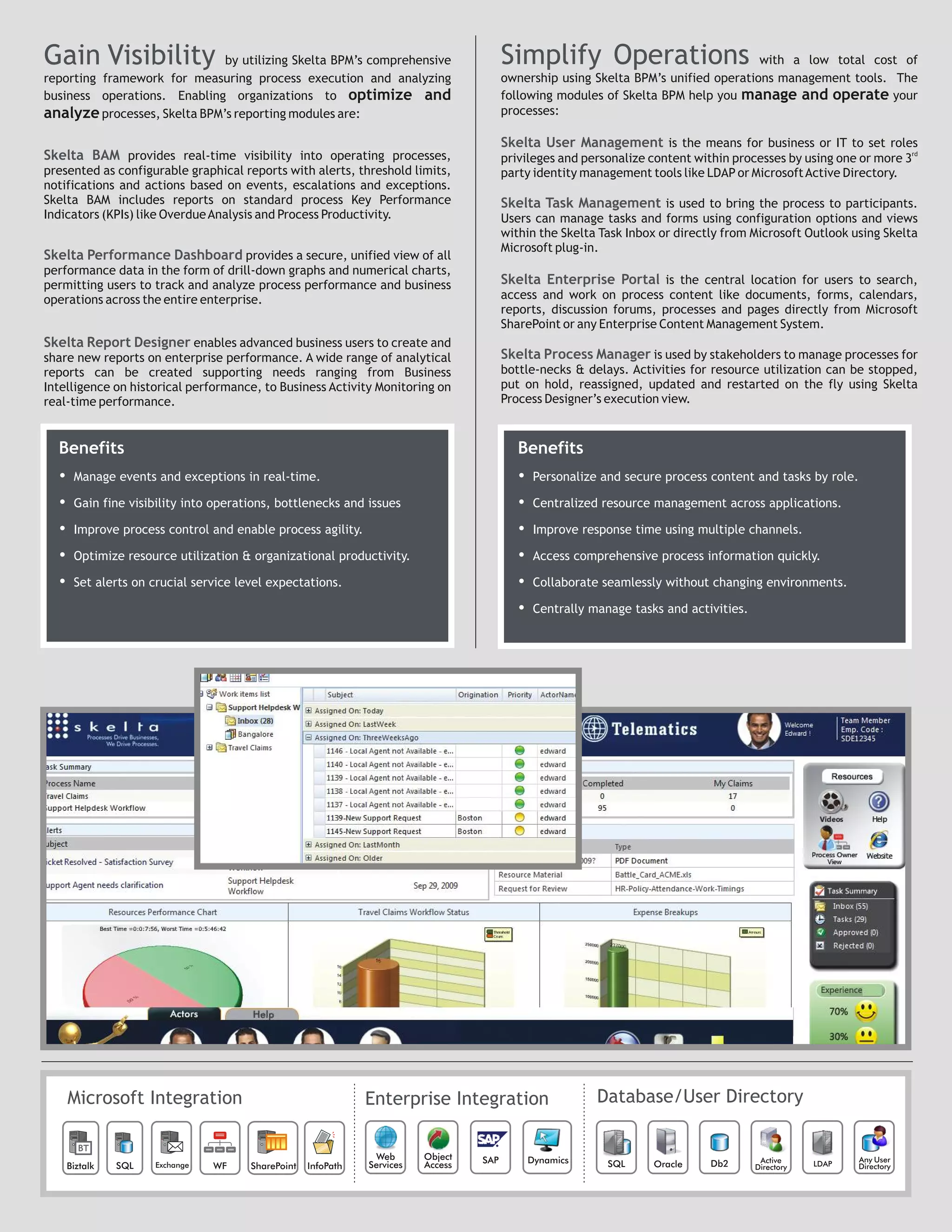 Skelta Corporate Brochure | PDF