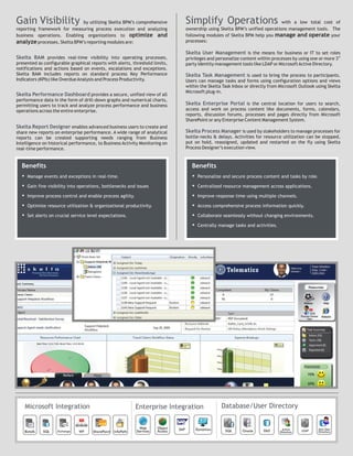 Skelta Corporate Brochure | PDF