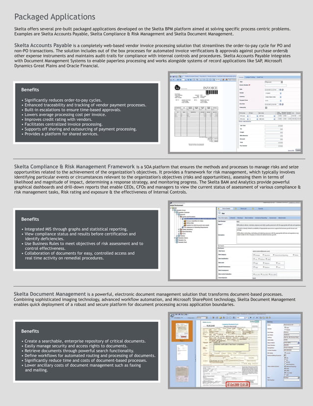 Skelta Corporate Brochure | PDF | Computer Software and Applications | Computing
