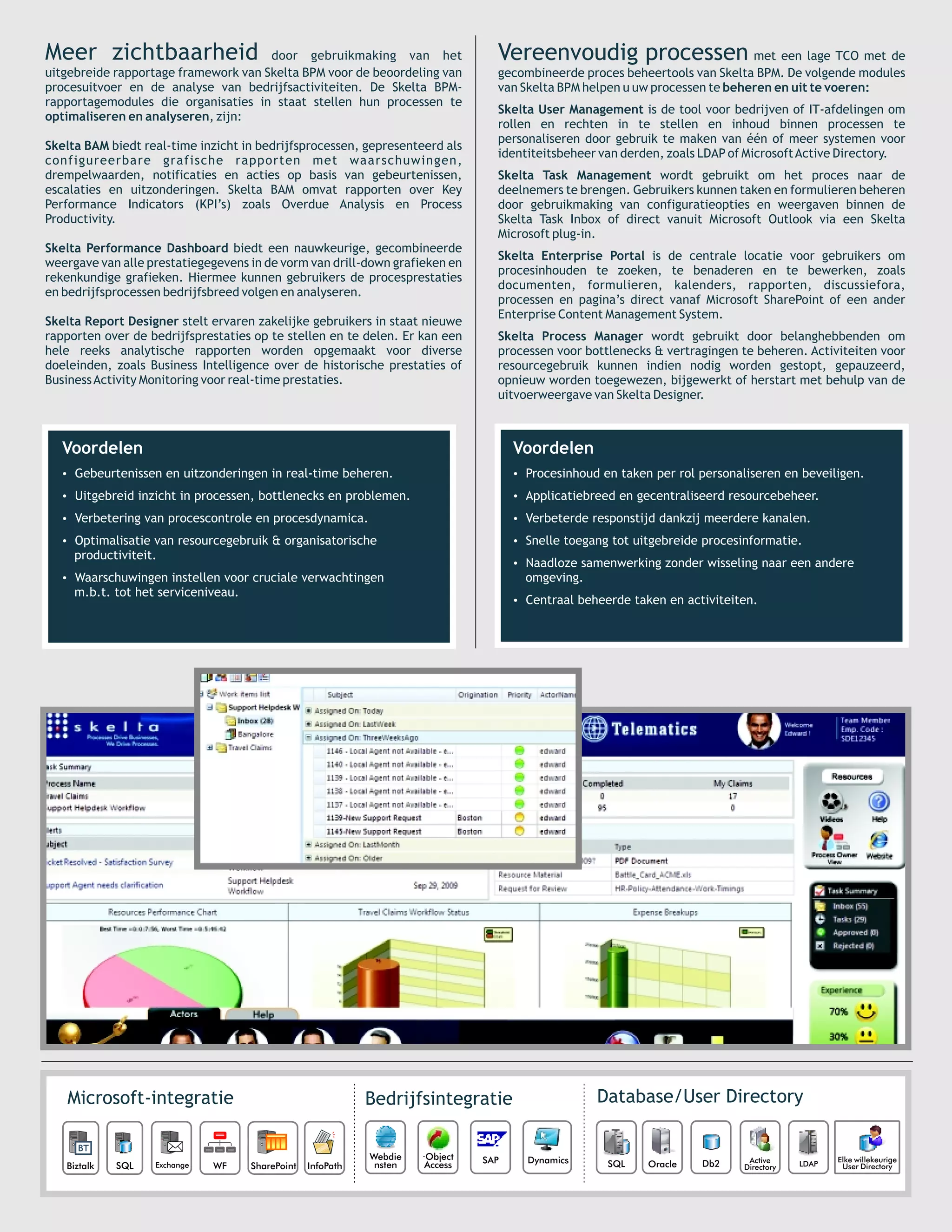 Skelta Bedrijfsbrochure | PDF