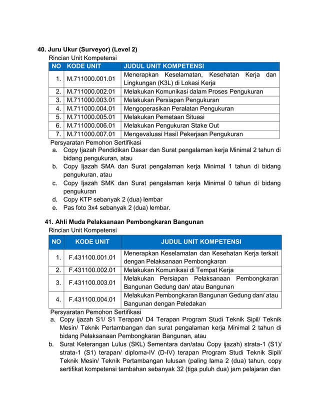 SKEMA DAN PERSYARATAN LSP BKN 99 SKEMA - Copy.pdf