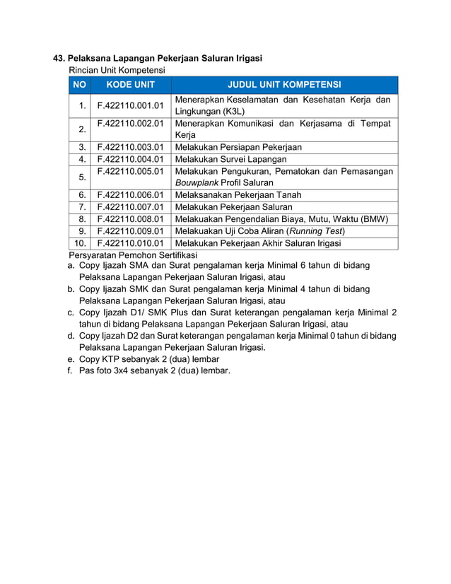 SKEMA DAN PERSYARATAN LSP BKN 99 SKEMA - Copy.pdf