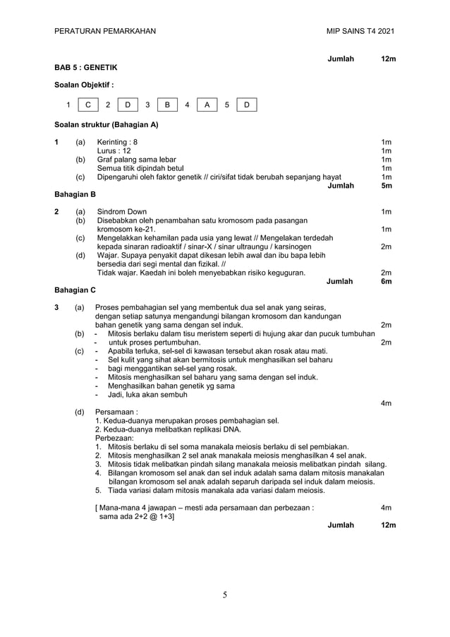 SKEMA MIPSPM2021 SNF4.pdf