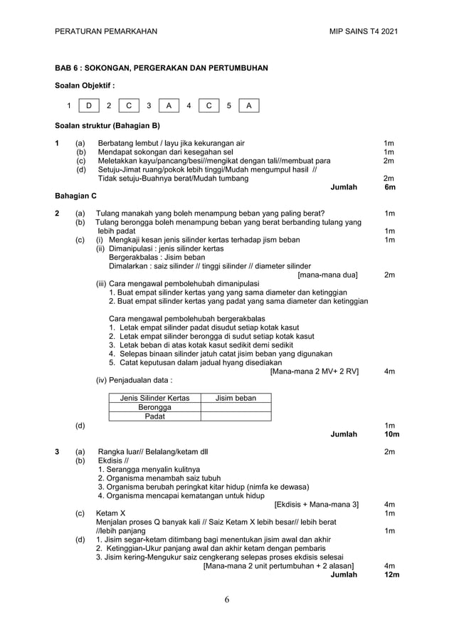 SKEMA MIPSPM2021 SNF4.pdf
