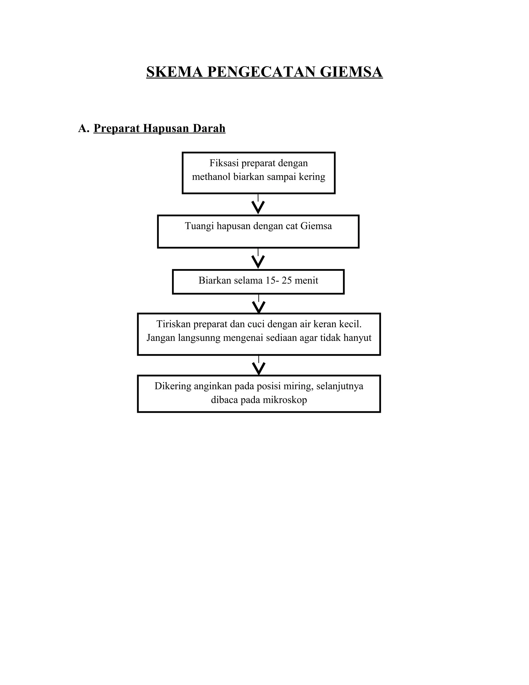 Skema pengecatan giemsa pk | PDF