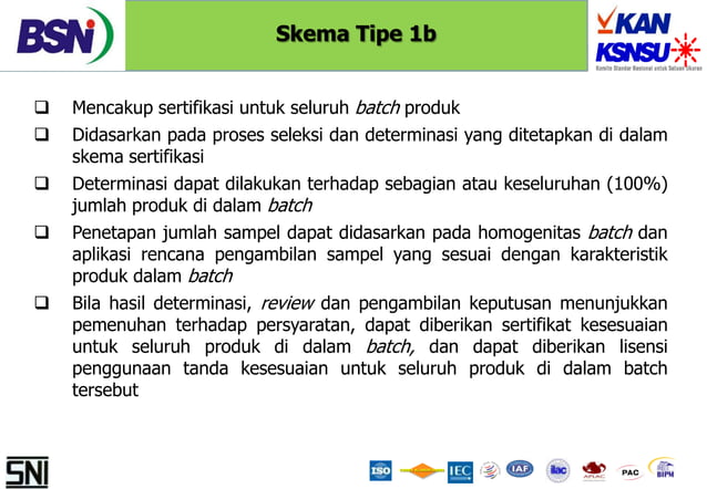 Skema_Sertifikasi_Produk_SNI_IEC_17067 | PDF