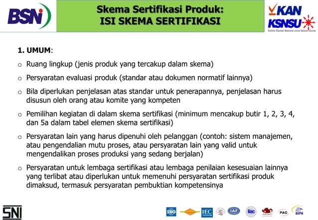 Skema_Sertifikasi_Produk_SNI_IEC_17067 | PDF
