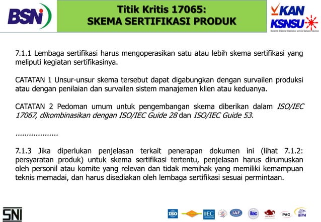 Skema_Sertifikasi_Produk_SNI_IEC_17067 | PDF