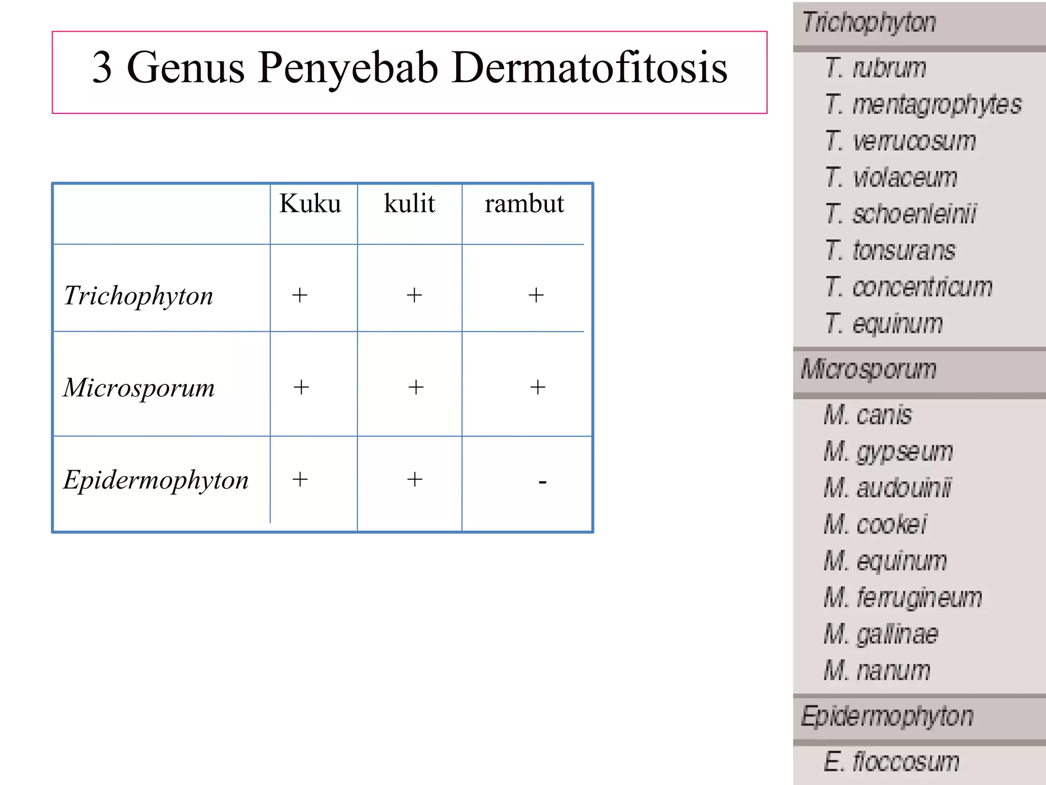 Skenario 20.5 Dermatofitosis & Non-dermatofitosis | PPTX