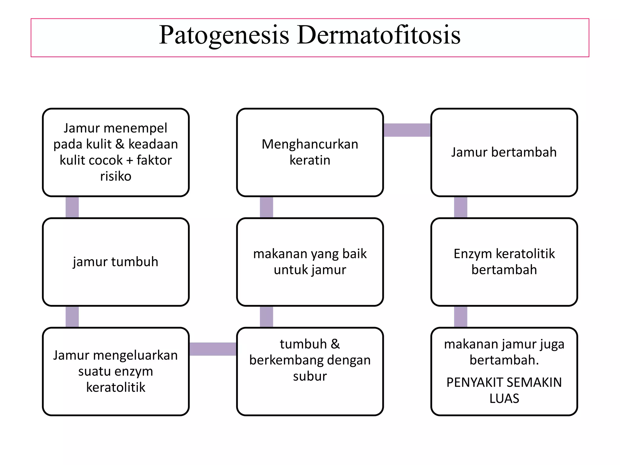 Skenario 20.5 Dermatofitosis & Non-dermatofitosis | PPTX