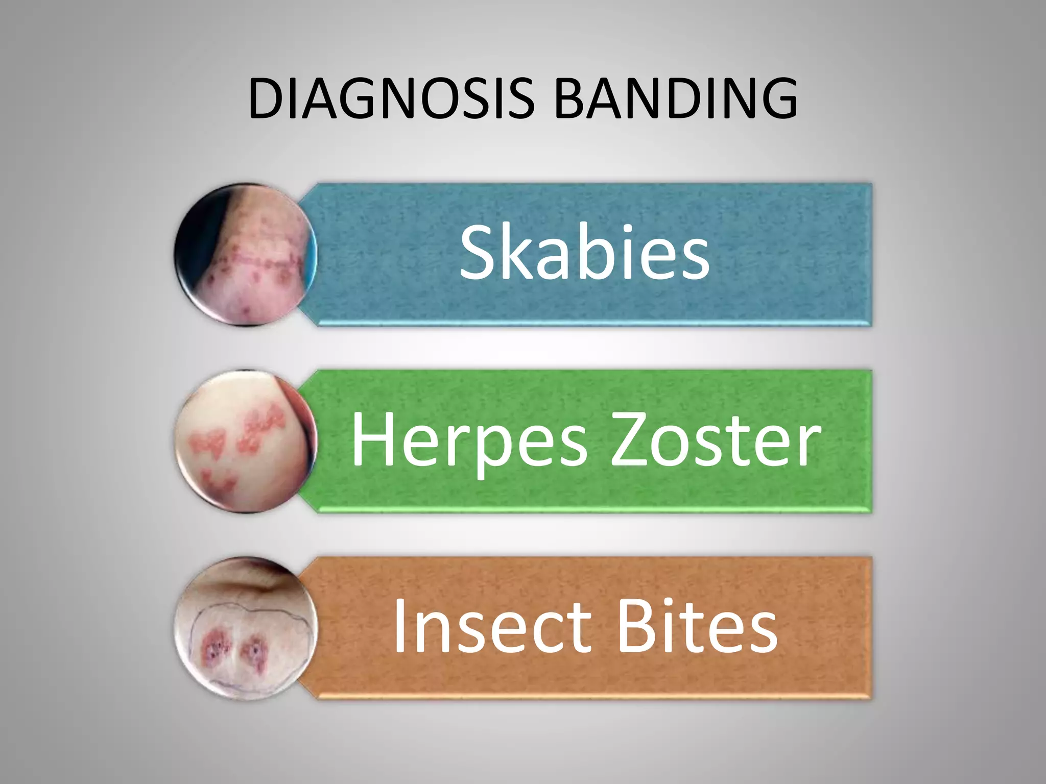 CUTANEUS LARVA MIGRAN / CREEPING ERUPTION | PPTX