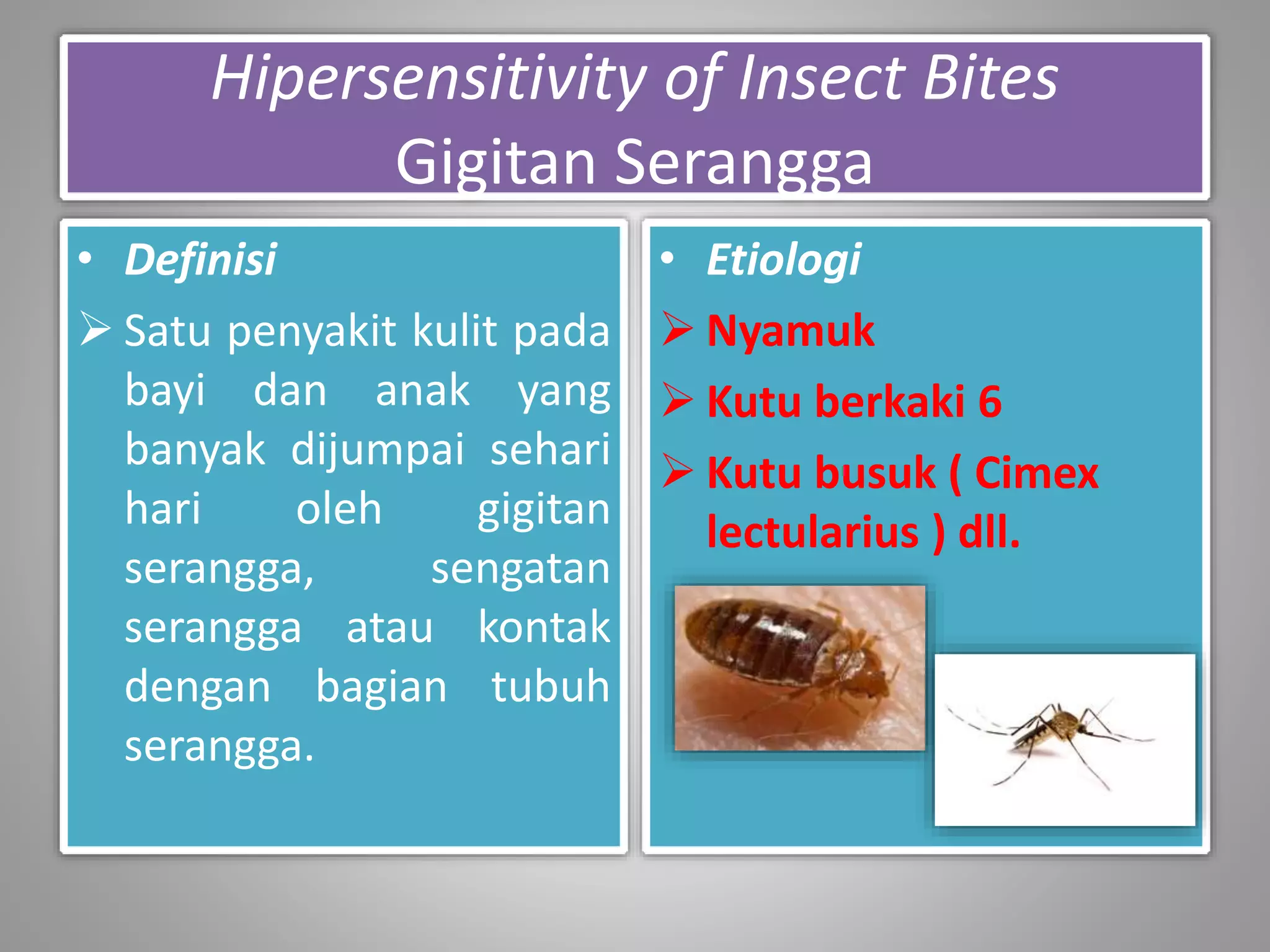 CUTANEUS LARVA MIGRAN / CREEPING ERUPTION | PPTX