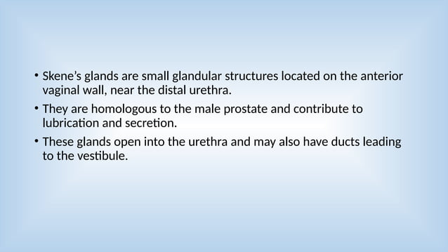skene glands/ female prostate glands/ paraurethral glands.pptx
