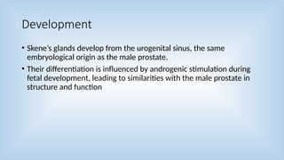 skene glands/ female prostate glands/ paraurethral glands.pptx