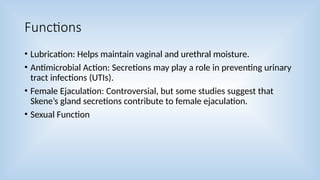 skene glands/ female prostate glands/ paraurethral glands.pptx