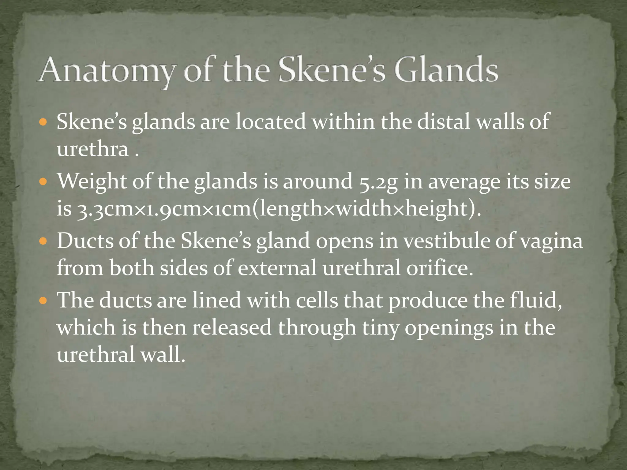 Skene’s gland anatomy and regulations and features | PPTX
